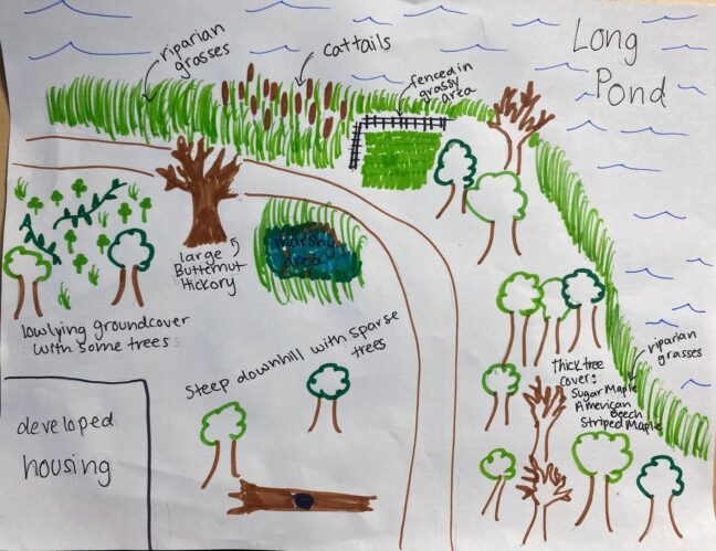 Stick Season is Here – Ann's Phenology Blog