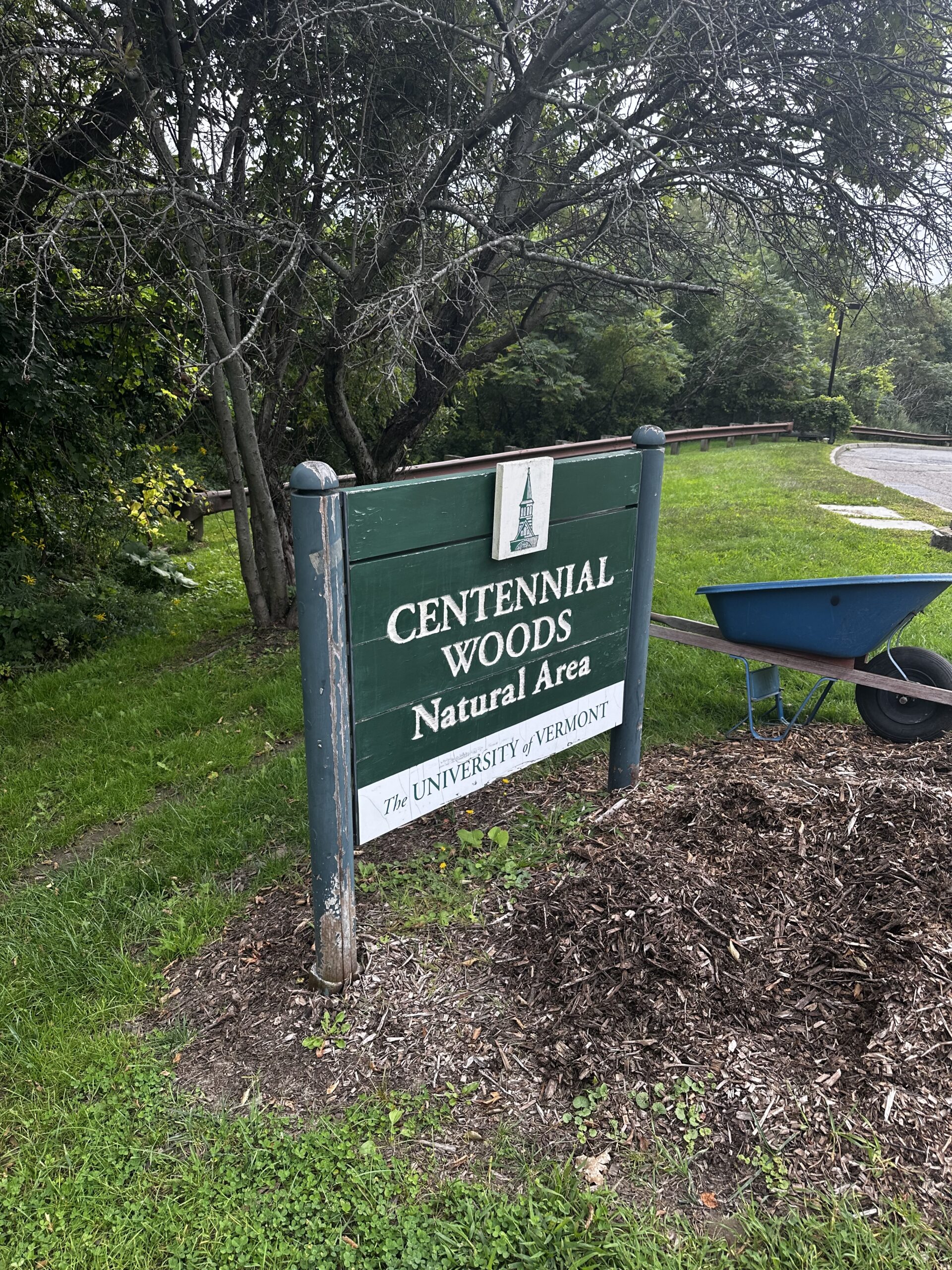 Centennial Wood Phenology – A UVM blog