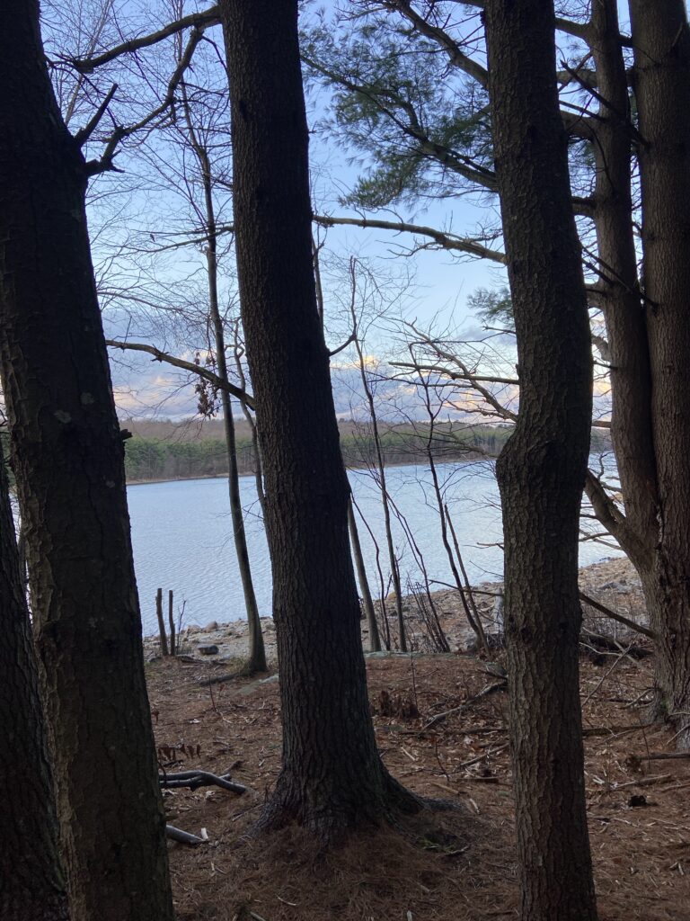 Phenology of Lake Chamberlain – Rock Point across the seasons