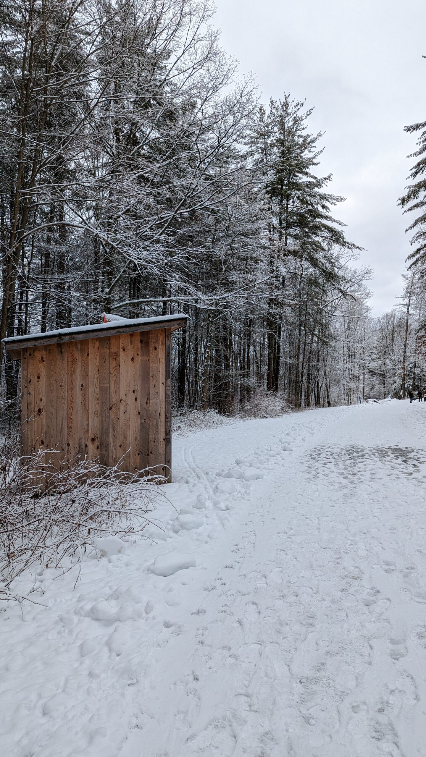 Red Rocks Phenology-Harrop – A UVM blog