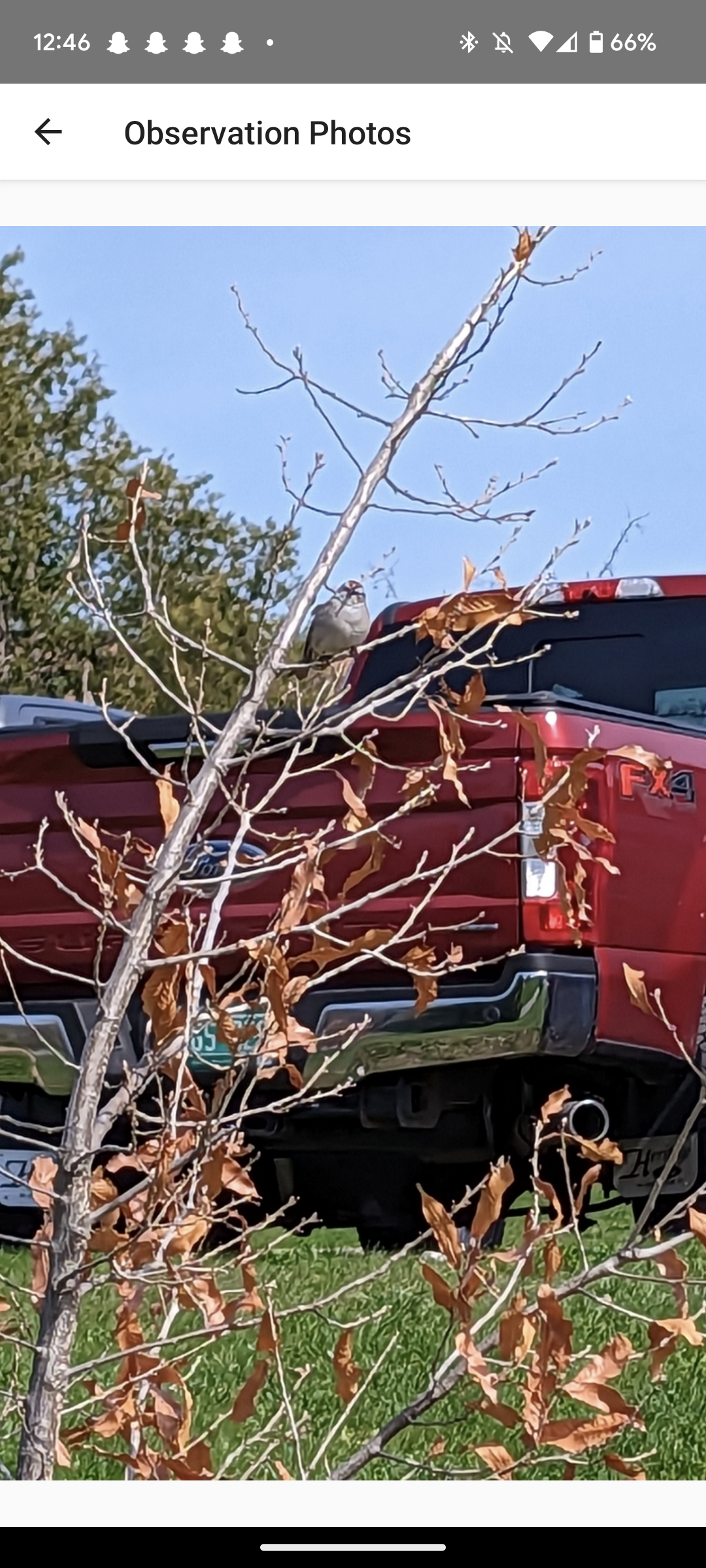 Red Rocks Phenology-Harrop – A UVM blog