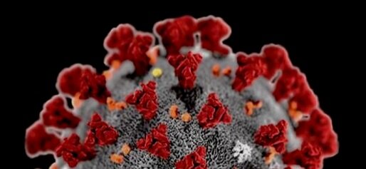 CFP: “When Corona Met Climate Change…” « immanence