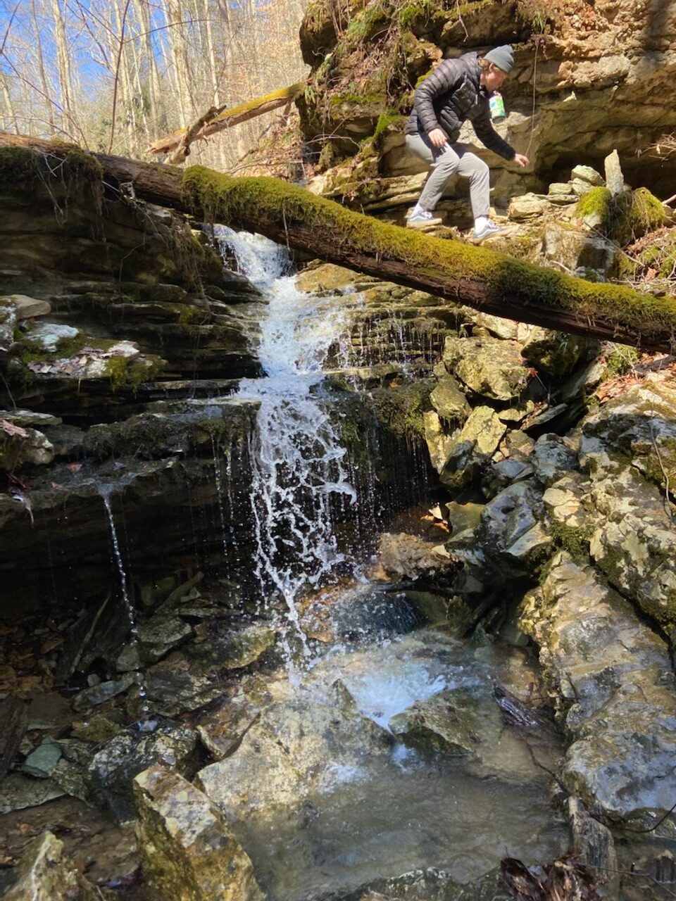 Phenology Site-Adam Ruff – A UVM blog