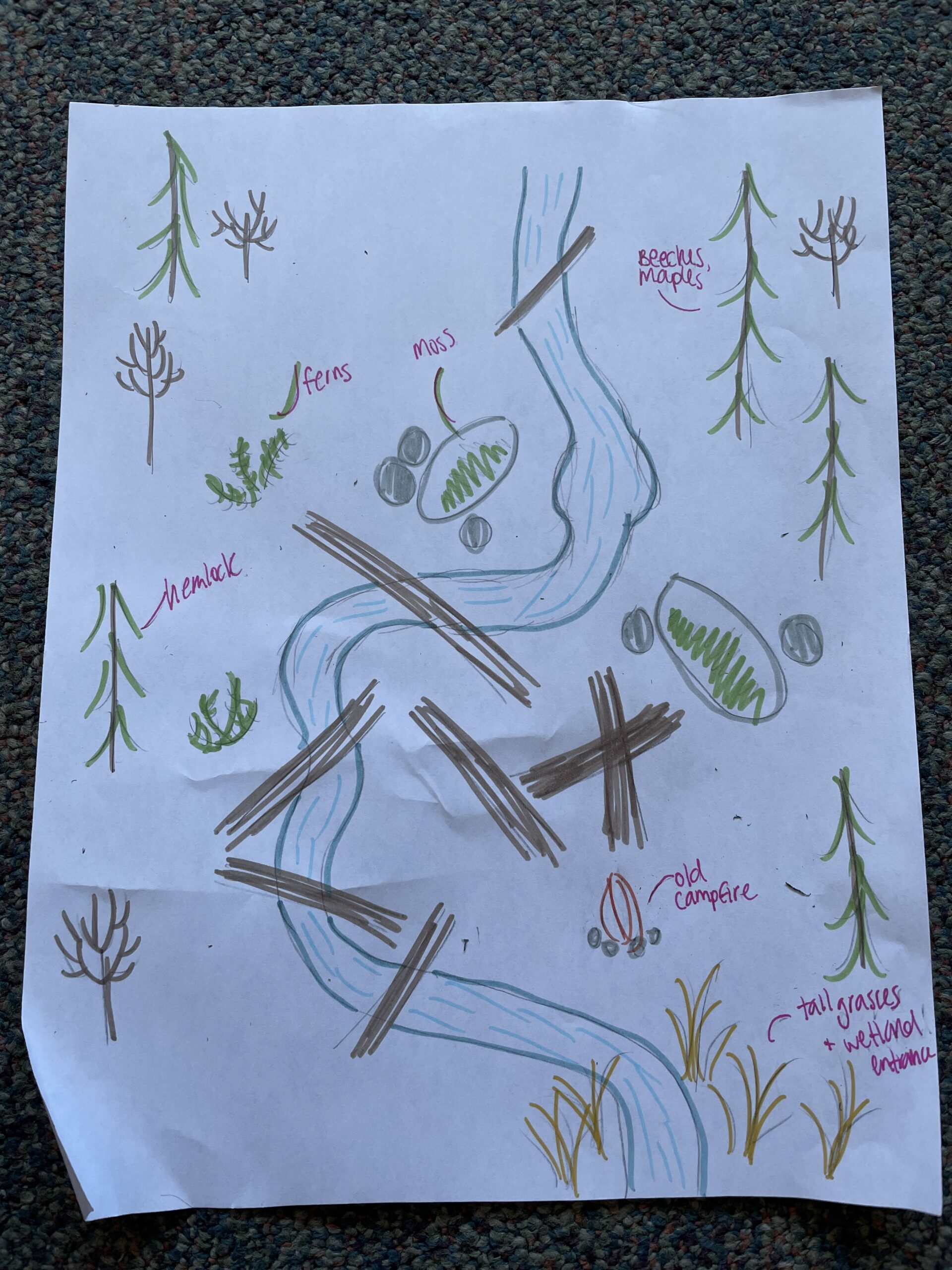 Abby’s Phenology Project – NR001 – A UVM blog