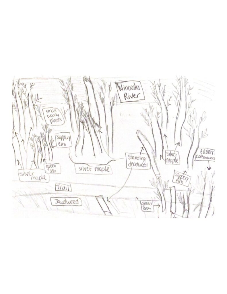 Spot My Location at Harrison Greenwood blog