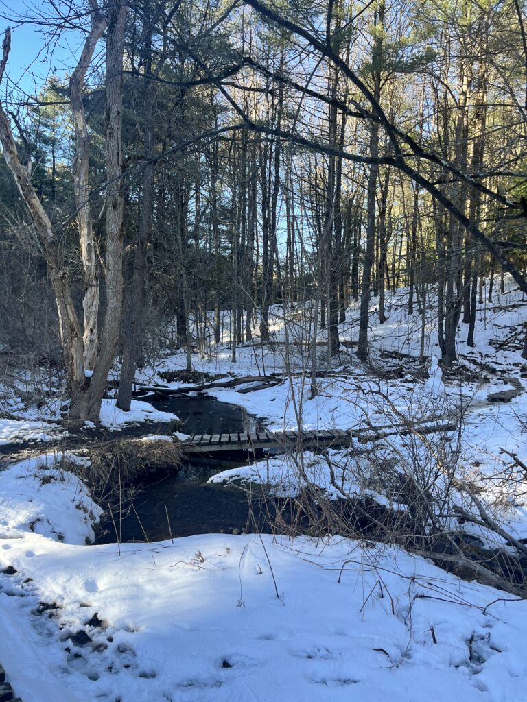 Original Spot – Ashley Heath’s Centennial Woods Blog