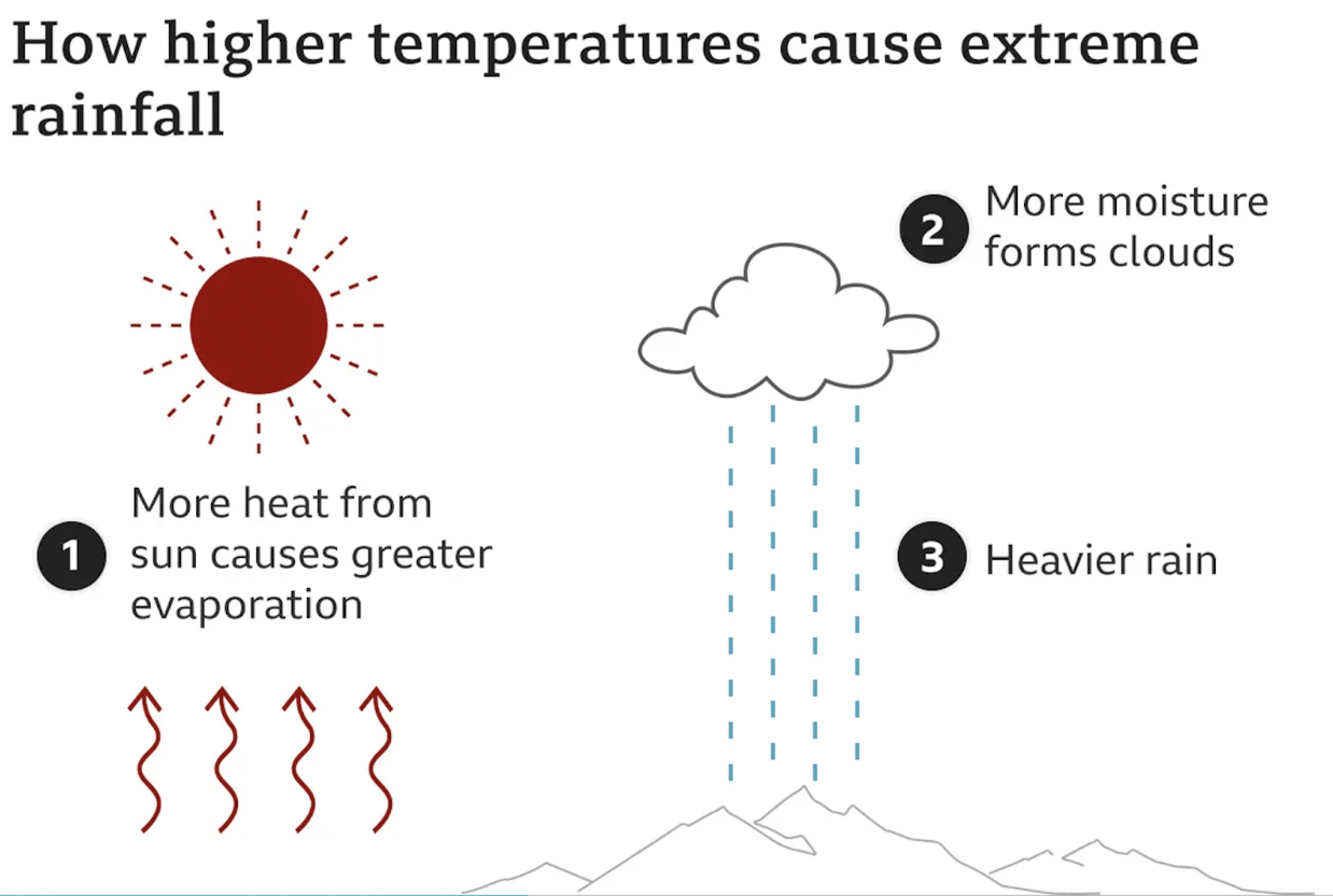 How do beaver activities influence the biotic and abiotic ...