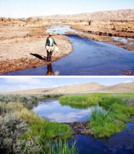 How do beaver activities influence the biotic and abiotic ...