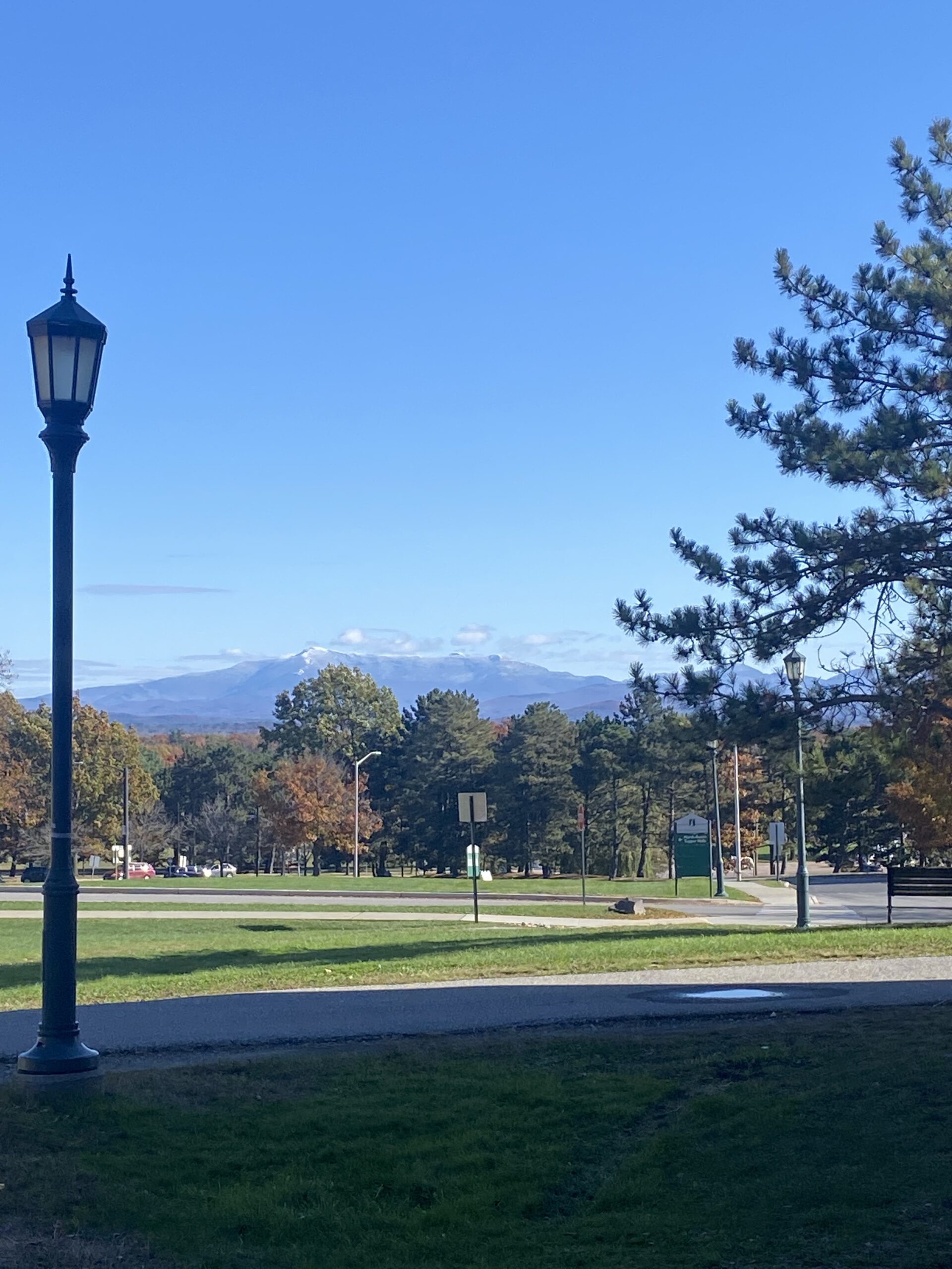 gallery | Phenology Project