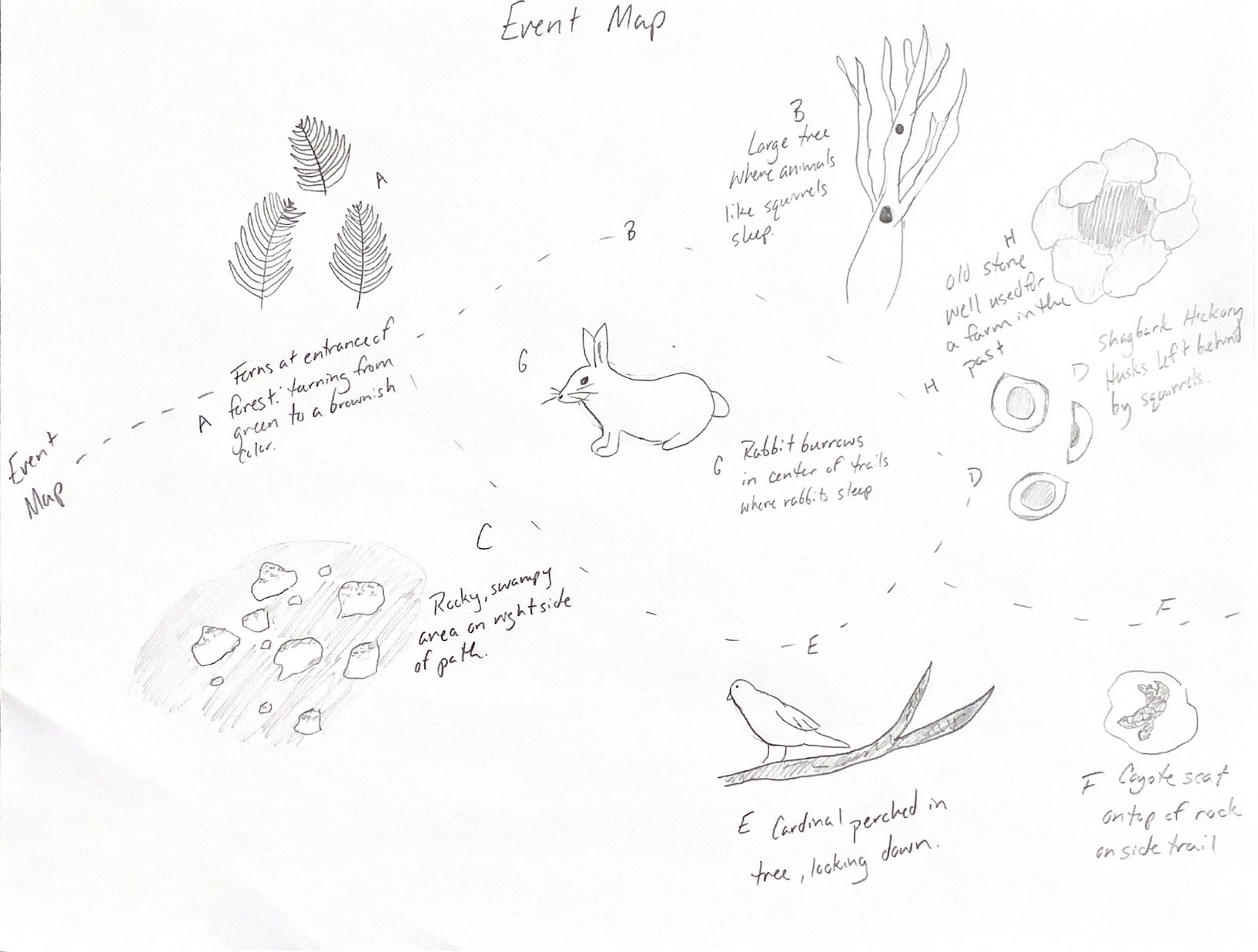 Phenology Project – by Cassie Broberg