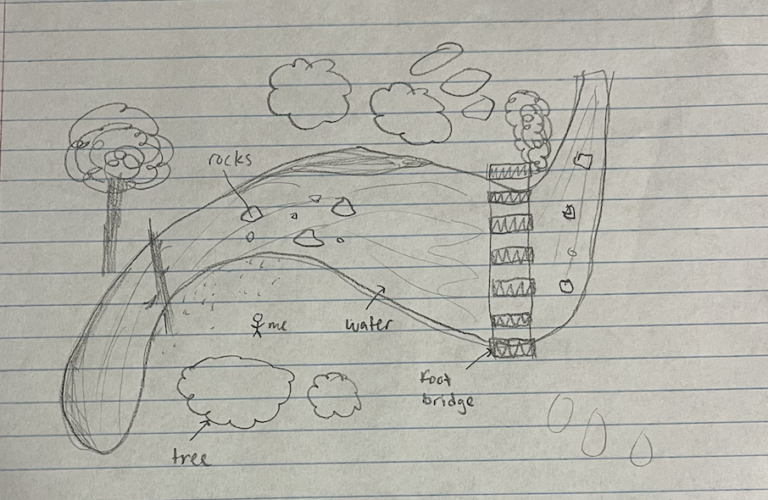 Birds Eye View Map | Phenology Project