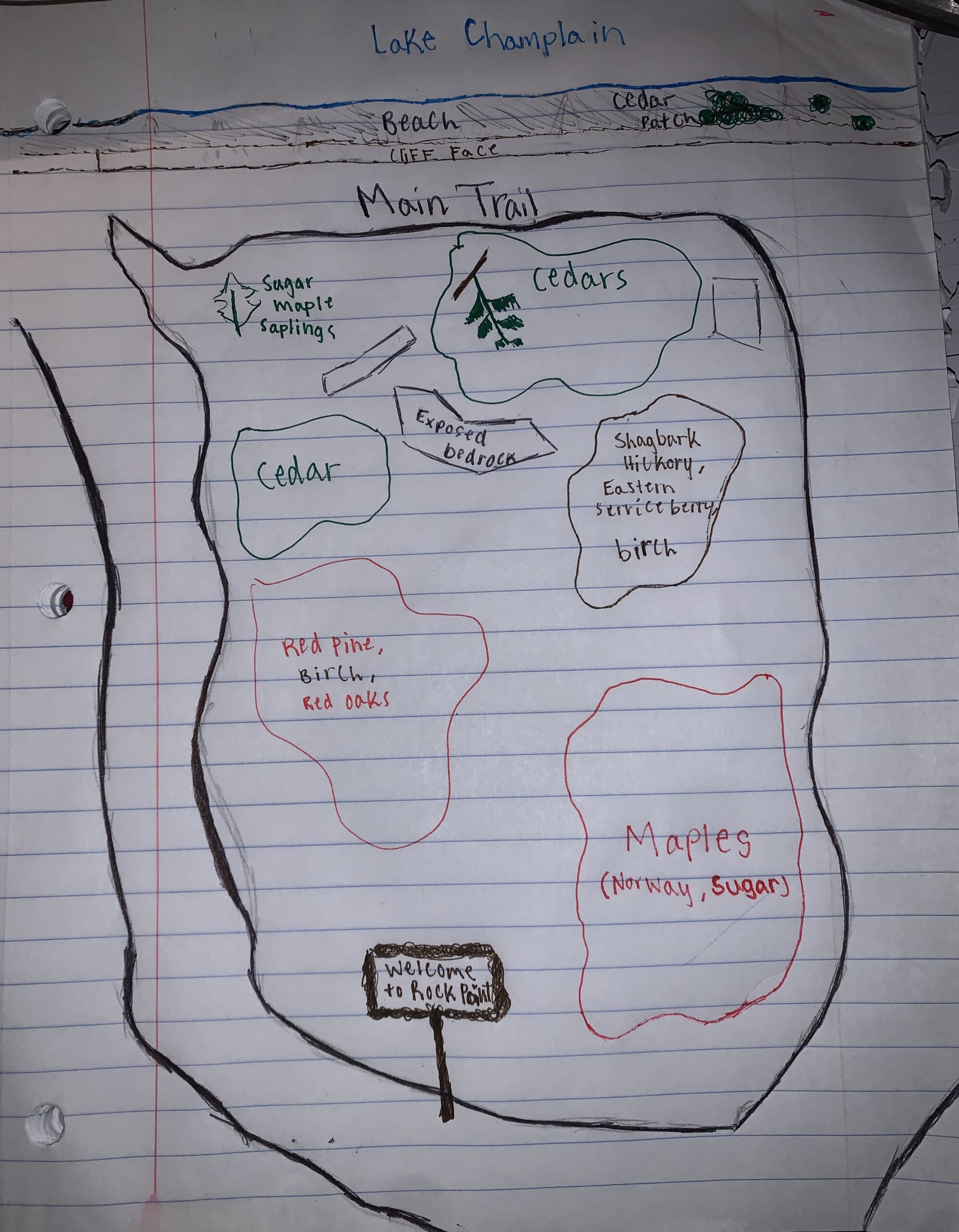 A Quick Visit Update and Map of Phenology Spot – Flora and Phenology