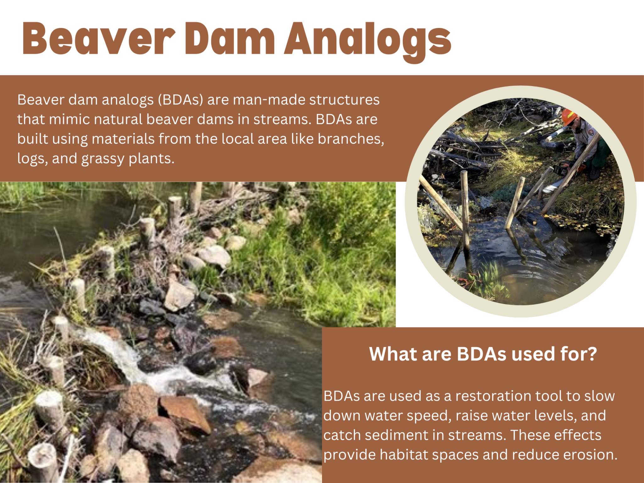 Beaver Dam Analogs – Centennial Woods Ecological Restoration Scavenger Hunt