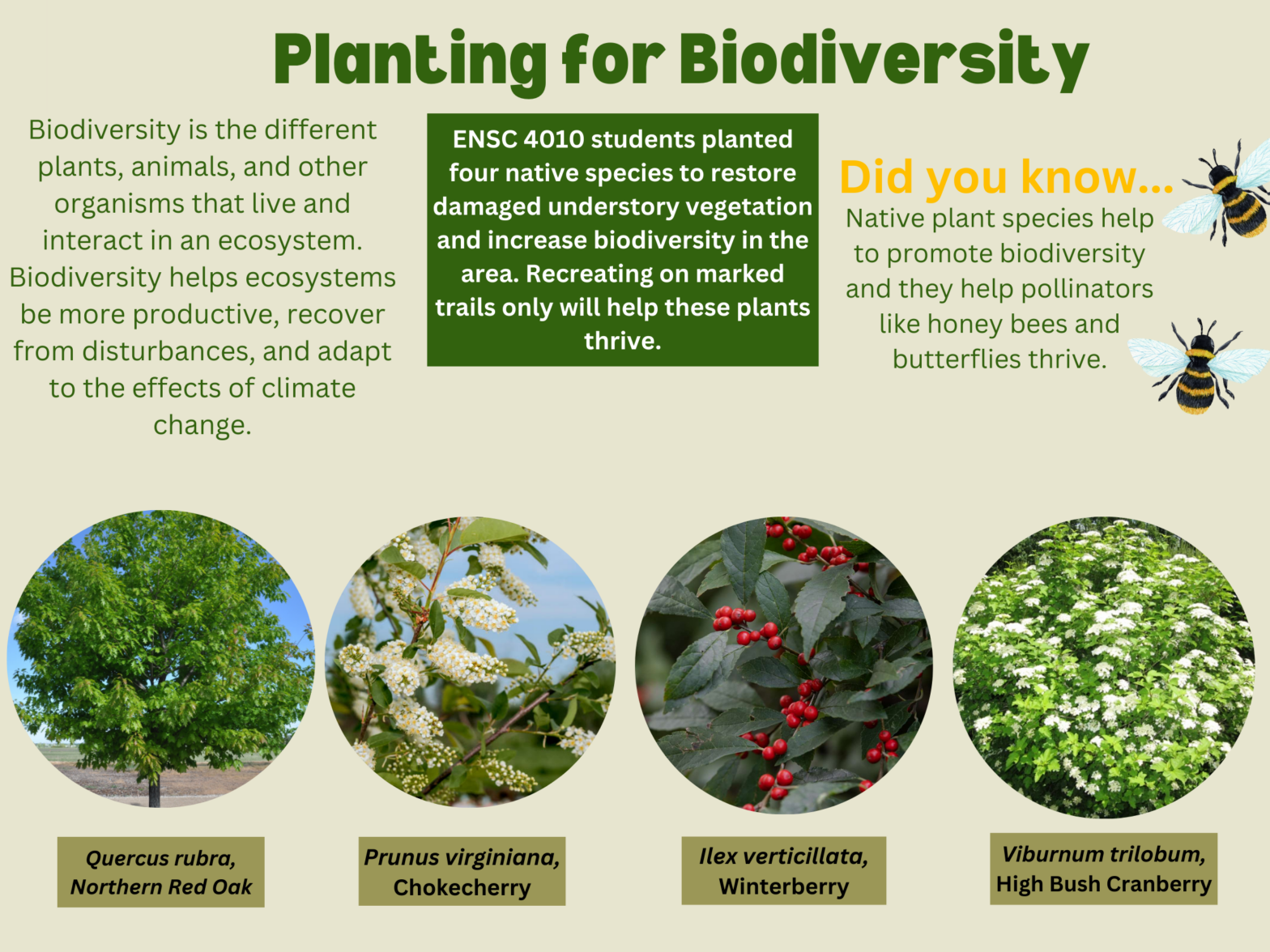 Planting for Biodiversity – Centennial Woods Ecological Restoration ...