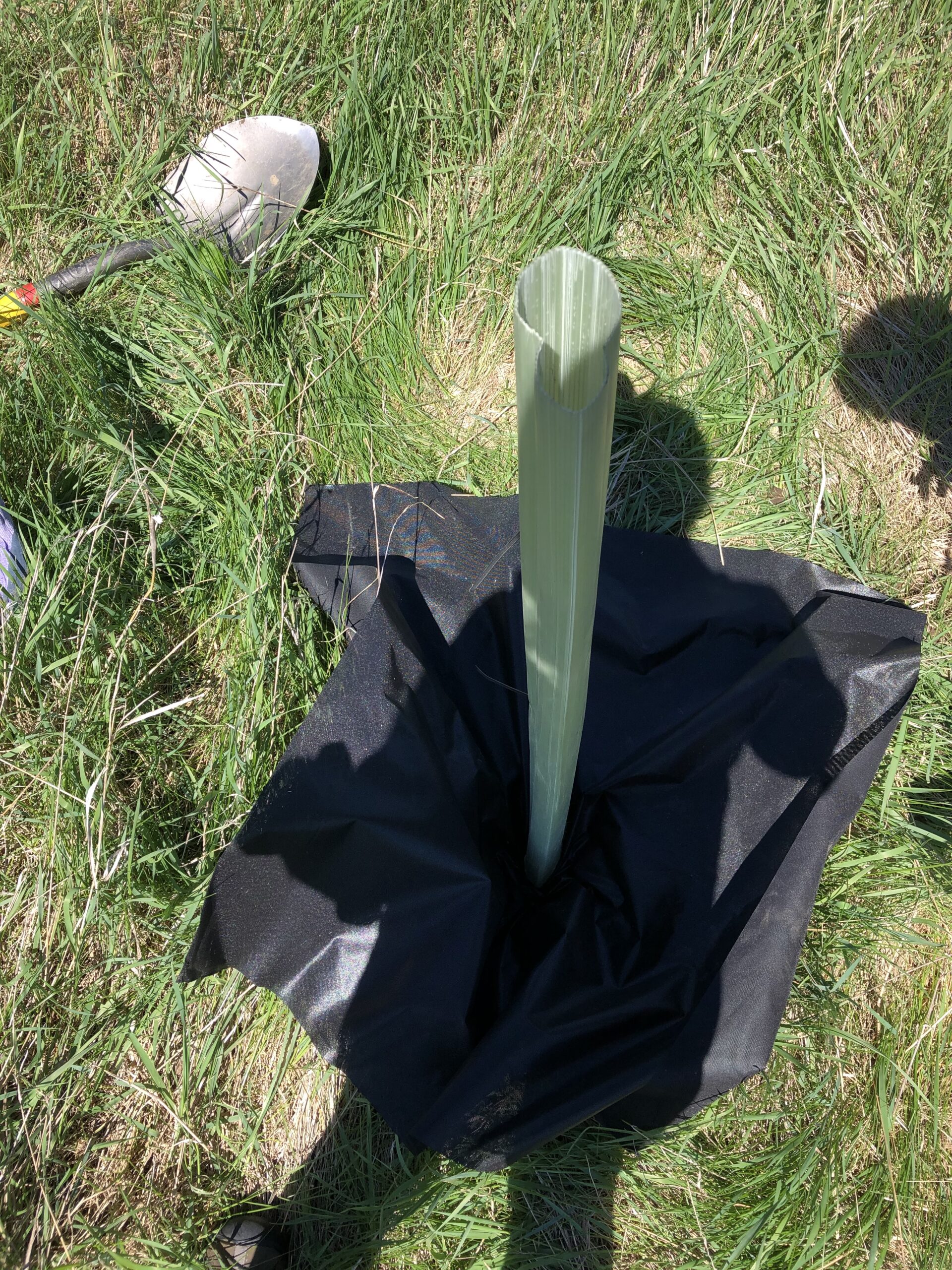 Redstone Quarry Phenology – A UVM blog
