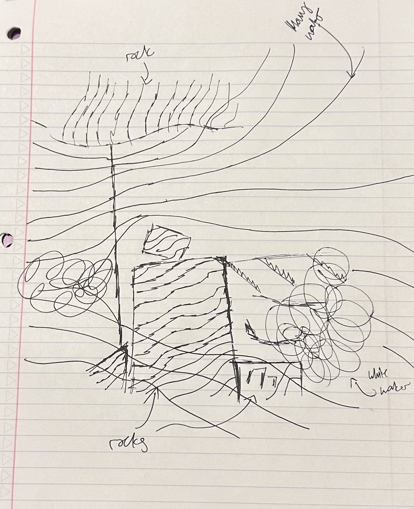 Final Phenology Site Visit!!! | NR1 Phenology Project- Salmon Hole