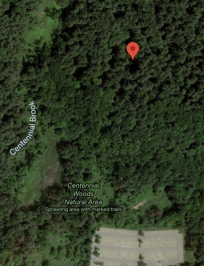 Centennial Woods – Hemlock Stand – A UVM blog