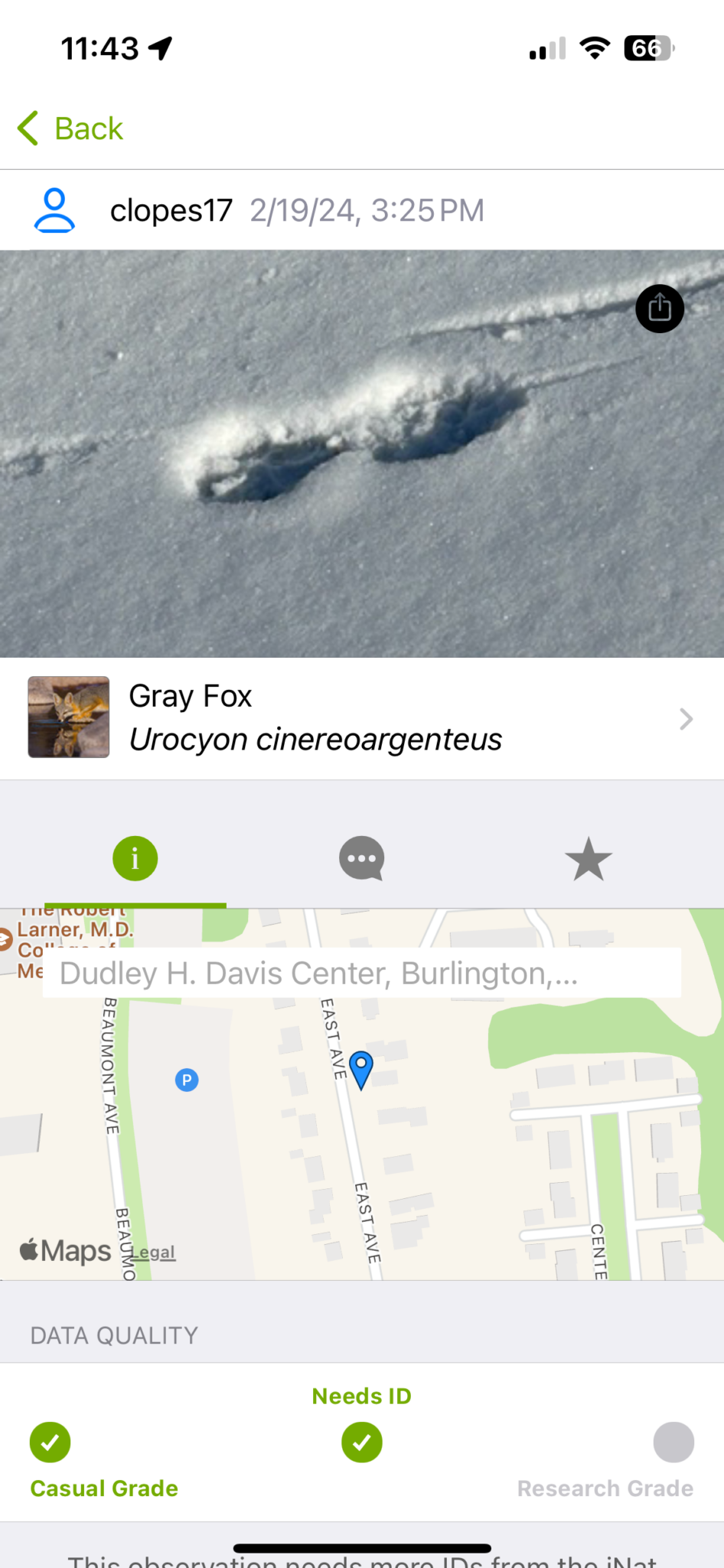 Phenology 2 – Burlington Wildlife – Cassie Phenology Assignment