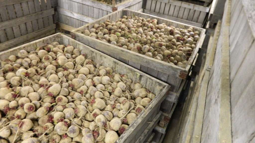 Final Report – Increasing Supply and Quality of Local Storage ...