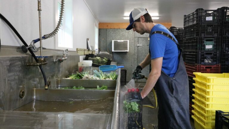 Vegetable Wash Sinks, Tanks, Tubs and Basins: Upgrades for Efficiency ...