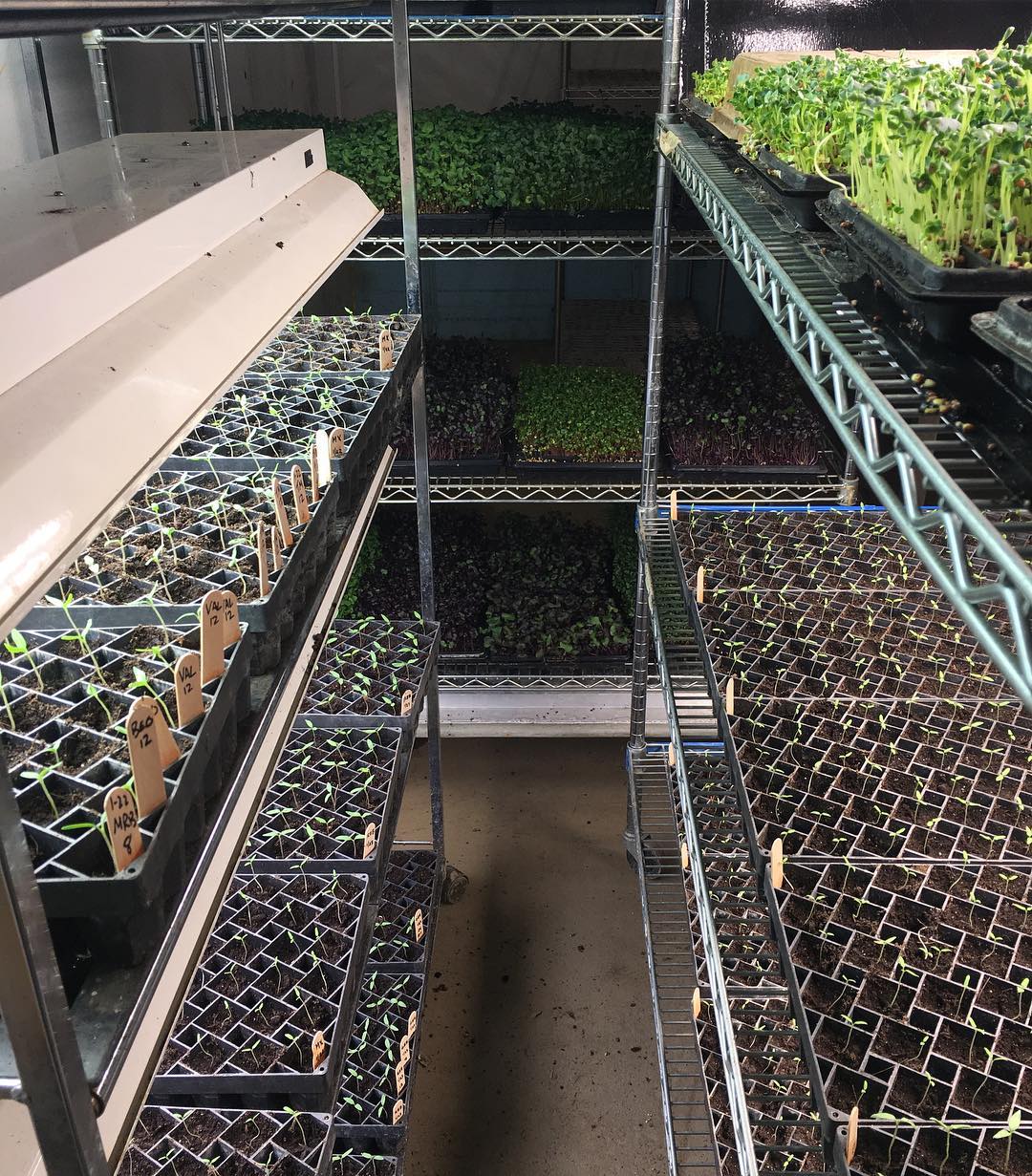 Getting Started with a Growth Chamber – UVM Extension Ag Engineering