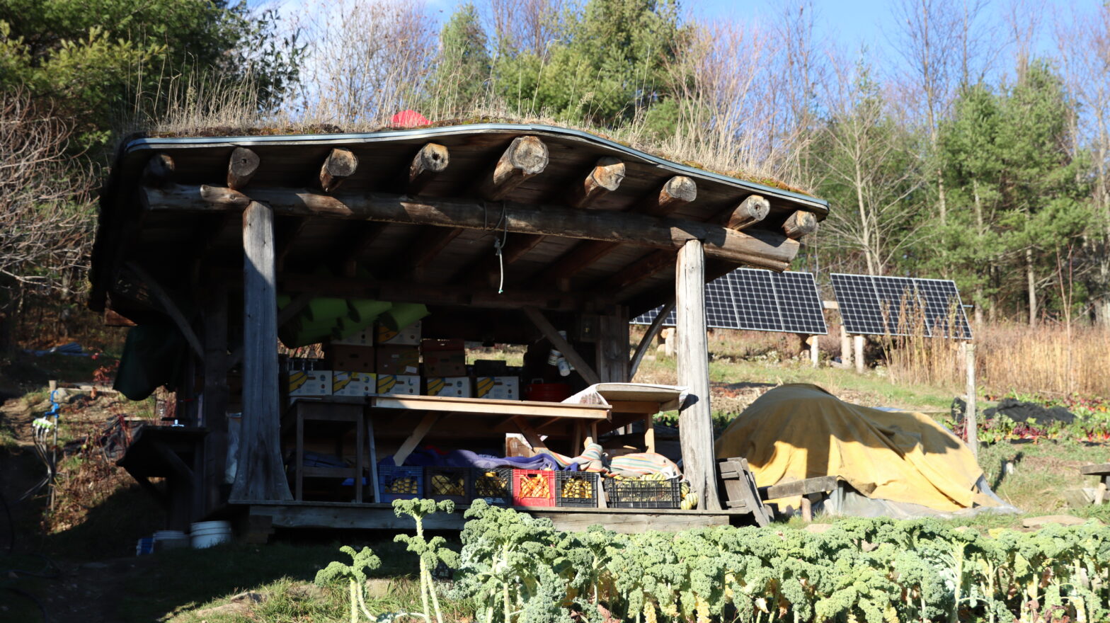 Planning an Efficient and Safe Wash/Pack Area – UVM Extension Ag ...