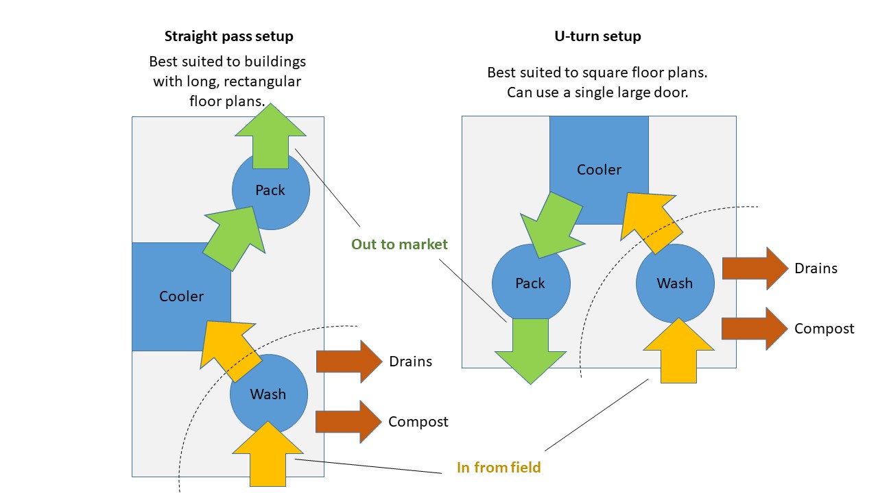 Planning an Efficient and Safe Wash/Pack Area – UVM Extension Ag ...