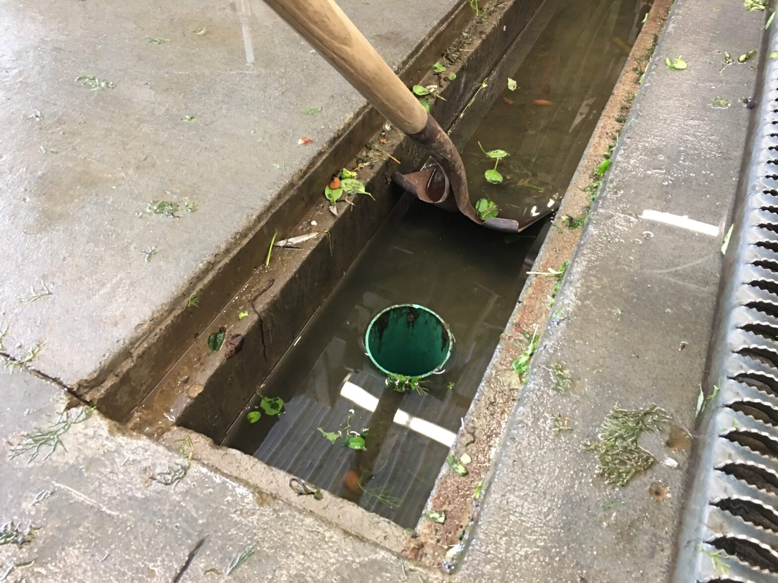 Drains for Produce Farms – UVM Extension Ag Engineering