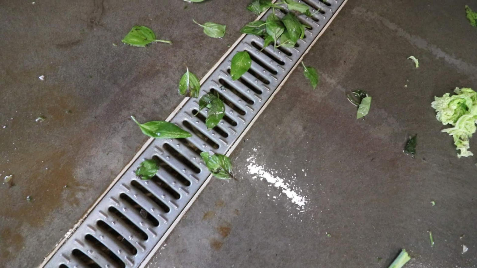 Drains for Produce Farms – UVM Extension Ag Engineering