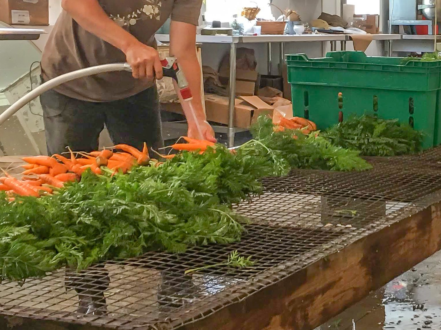 Spray Tables for Produce Farms – UVM Extension Ag Engineering