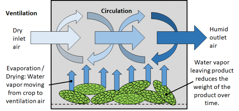 Drying and Curing Herbs and Flowers (Hops, Hemp, and Everything Else ...
