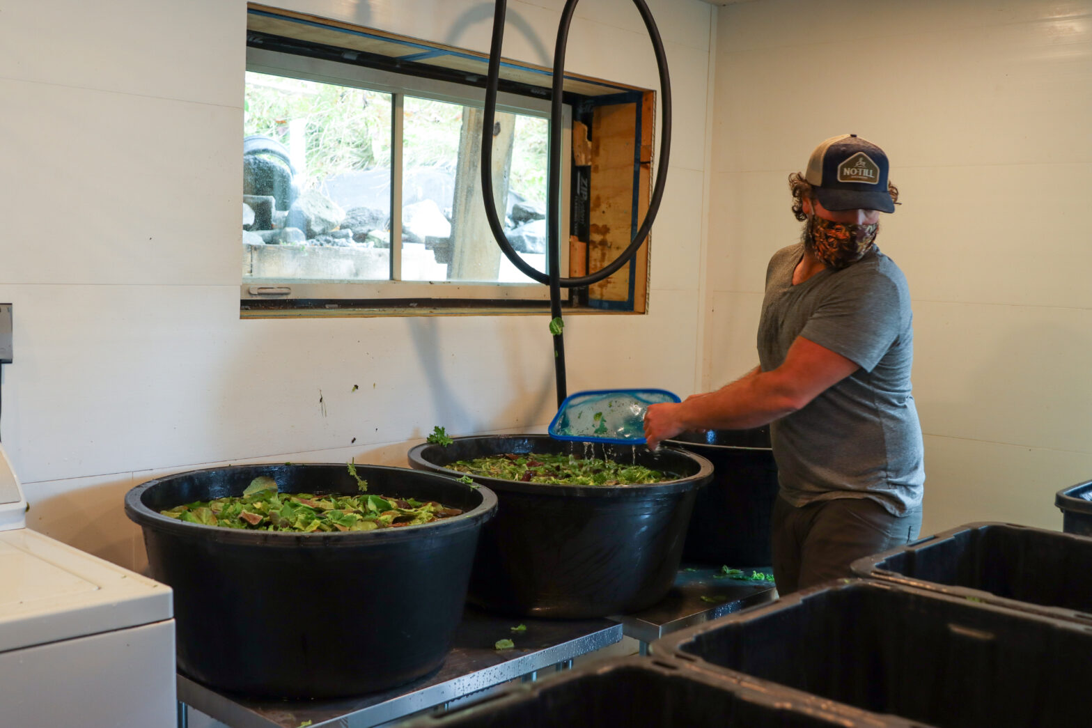 Sharpening the Edges: Wash/Pack Efficiencies in a New Farm Building at ...