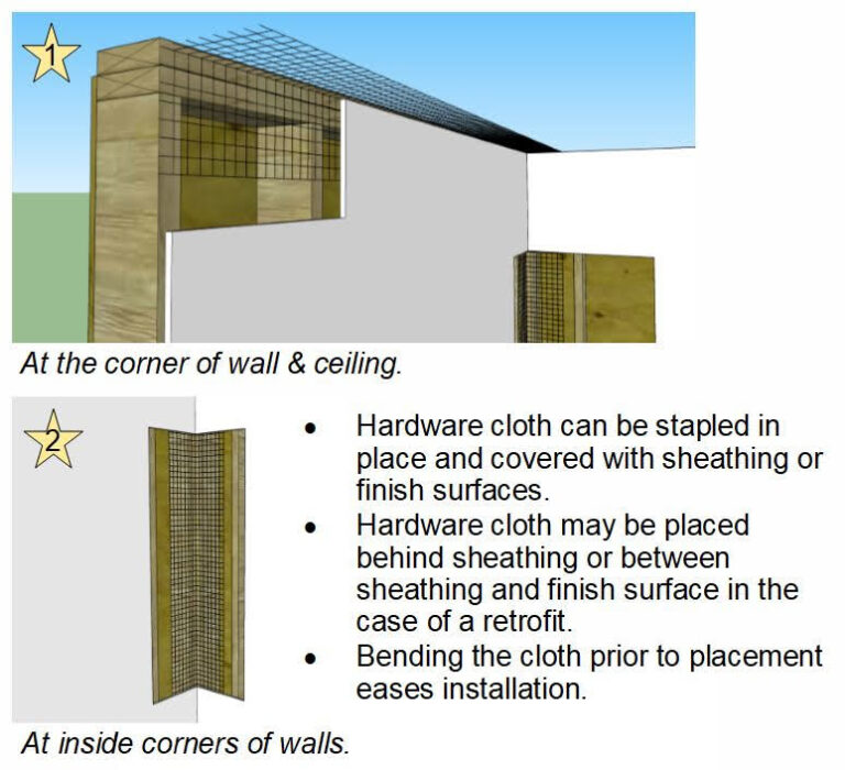 Rats (and other rodents) – UVM Extension Ag Engineering