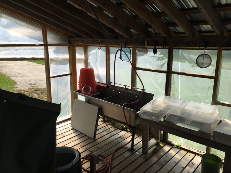 Floor Design for Vegetable Wash, Pack and Storage Areas – UVM Extension ...