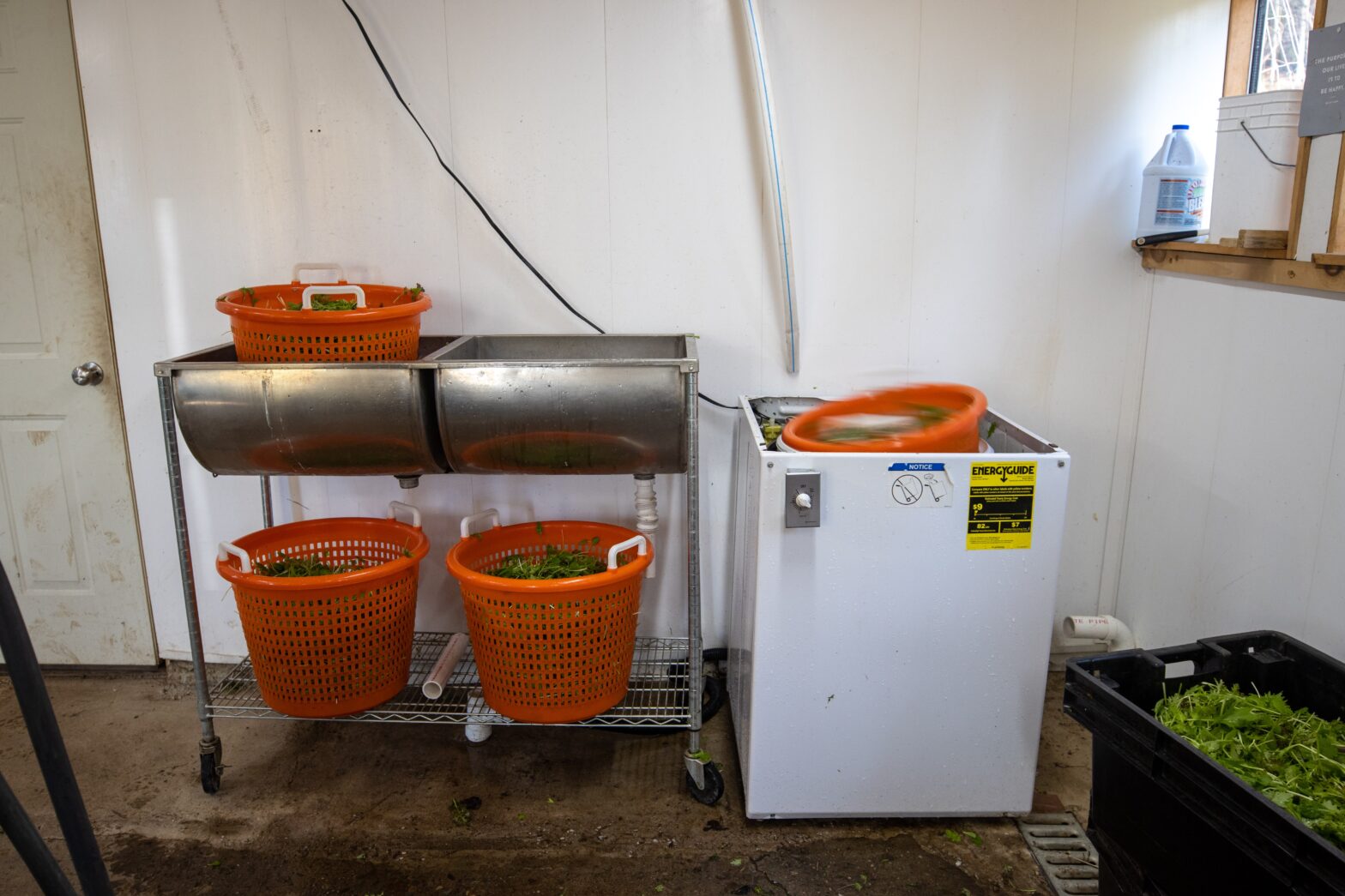 Vegetable Wash Sinks, Tanks, Tubs and Basins: Upgrades for Efficiency ...