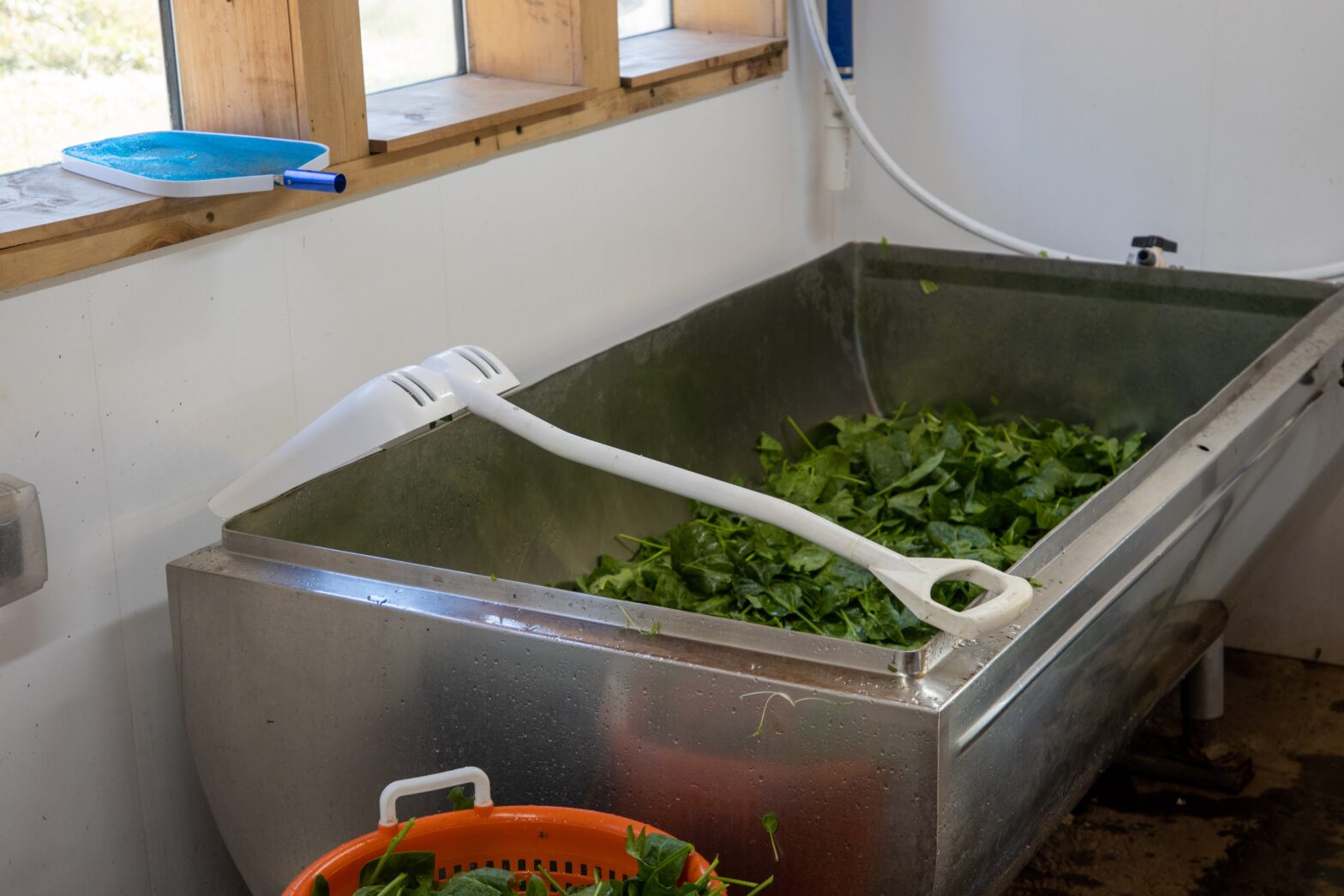 Vegetable Wash Sinks, Tanks, Tubs and Basins: Upgrades for Efficiency ...