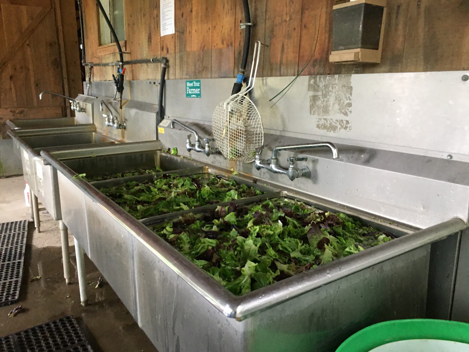 Vegetable Wash Sinks, Tanks, Tubs and Basins: Upgrades for Efficiency ...