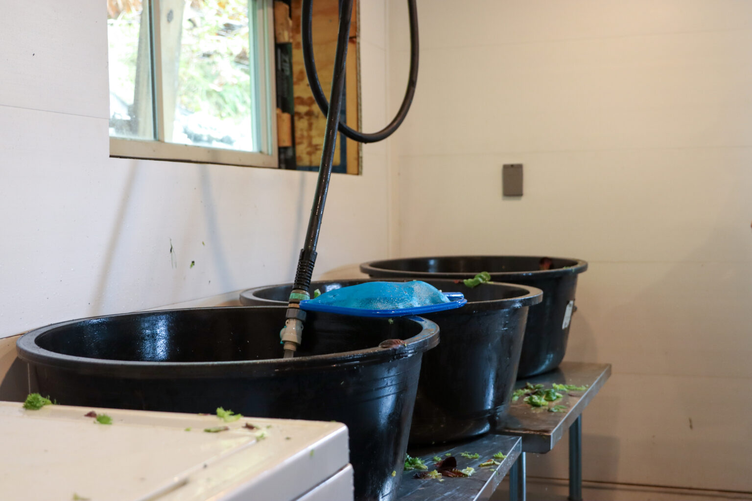 Vegetable Wash Sinks, Tanks, Tubs and Basins: Upgrades for Efficiency ...