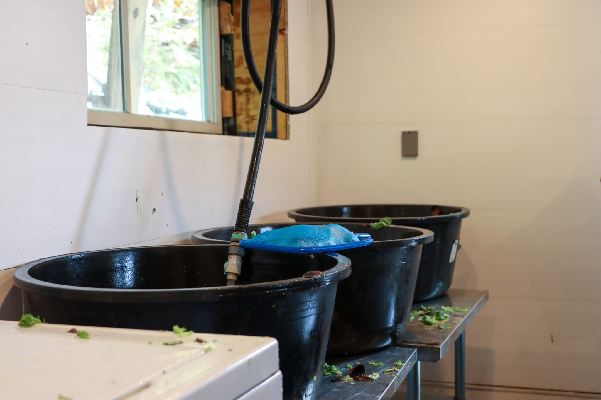 Vegetable Wash Sinks, Tanks, Tubs and Basins: Upgrades for Efficiency ...
