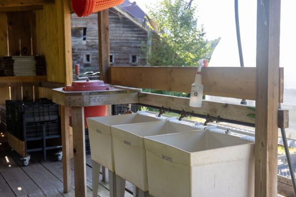 A Three-Season Structure Keeps the Momentum at Flywheel Farm – UVM ...