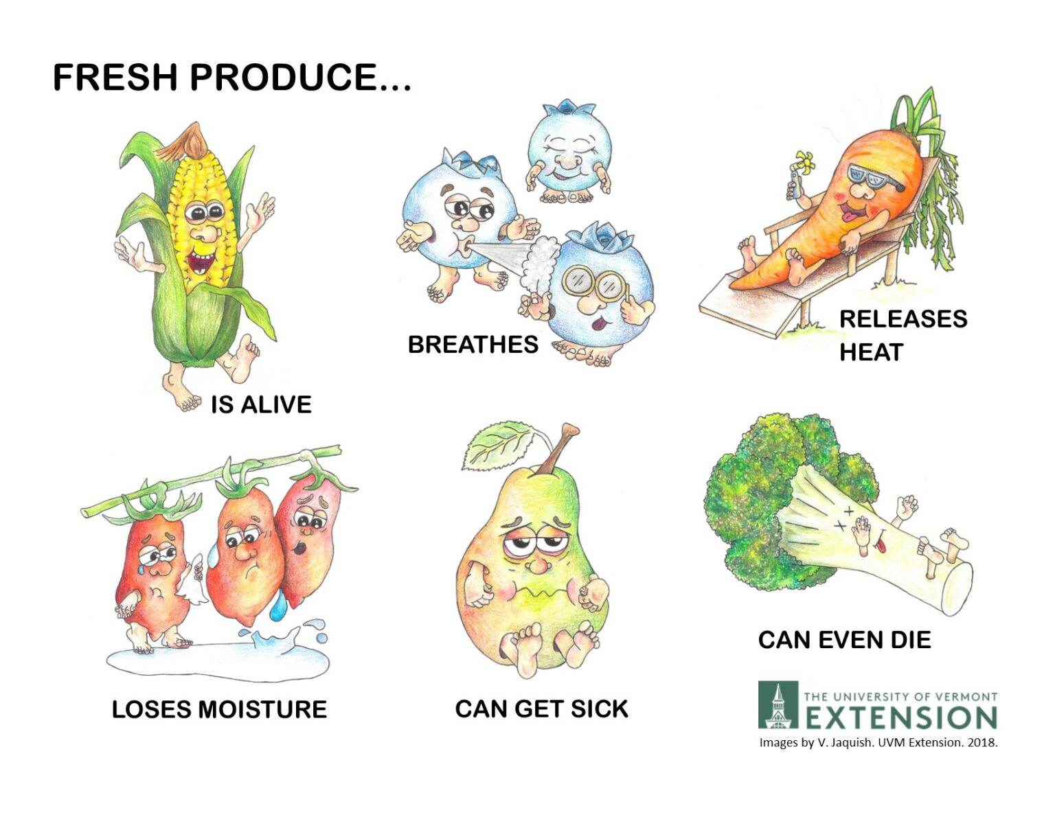 Managing Humidity and Condensation in Coolers – UVM Extension Ag ...