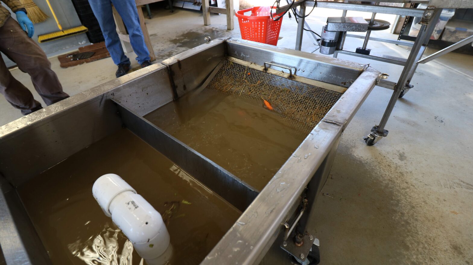 Farmer’s Favorites: The AZS Rinse Conveyor – UVM Extension Ag Engineering