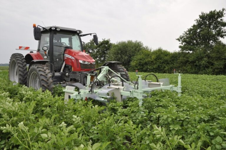 Beating Beetles Better: Mechanically Controlling Colorado Potato Beetle ...