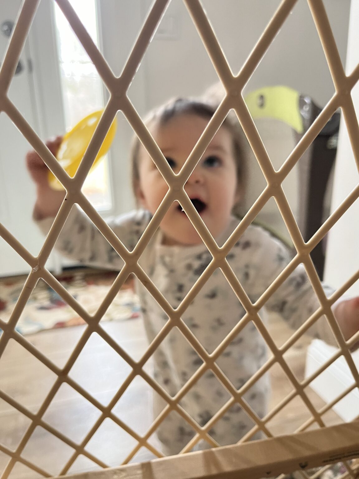 Looking Through – FTS 2655 Still Images