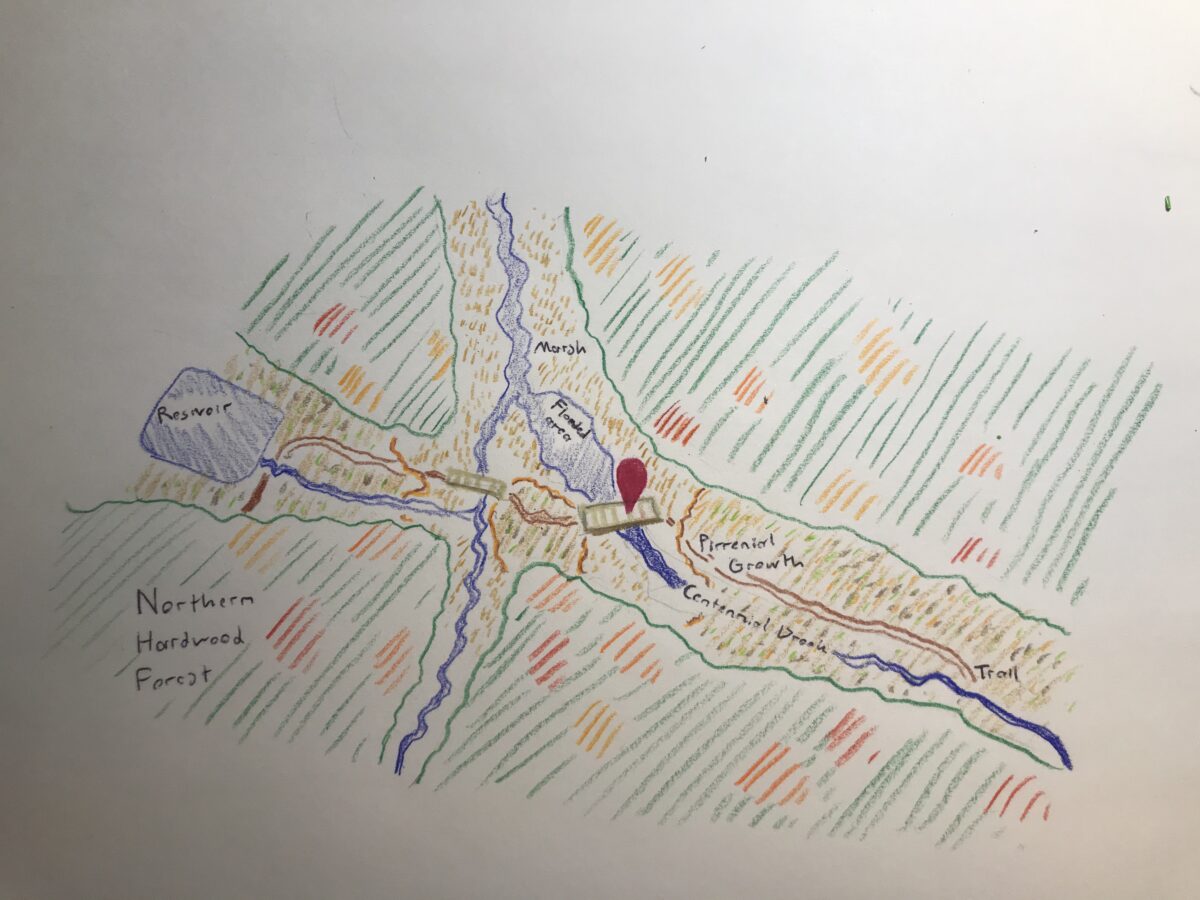 A Diagram of The Natural Landscape – Ethan Hobbs Phenology Blog