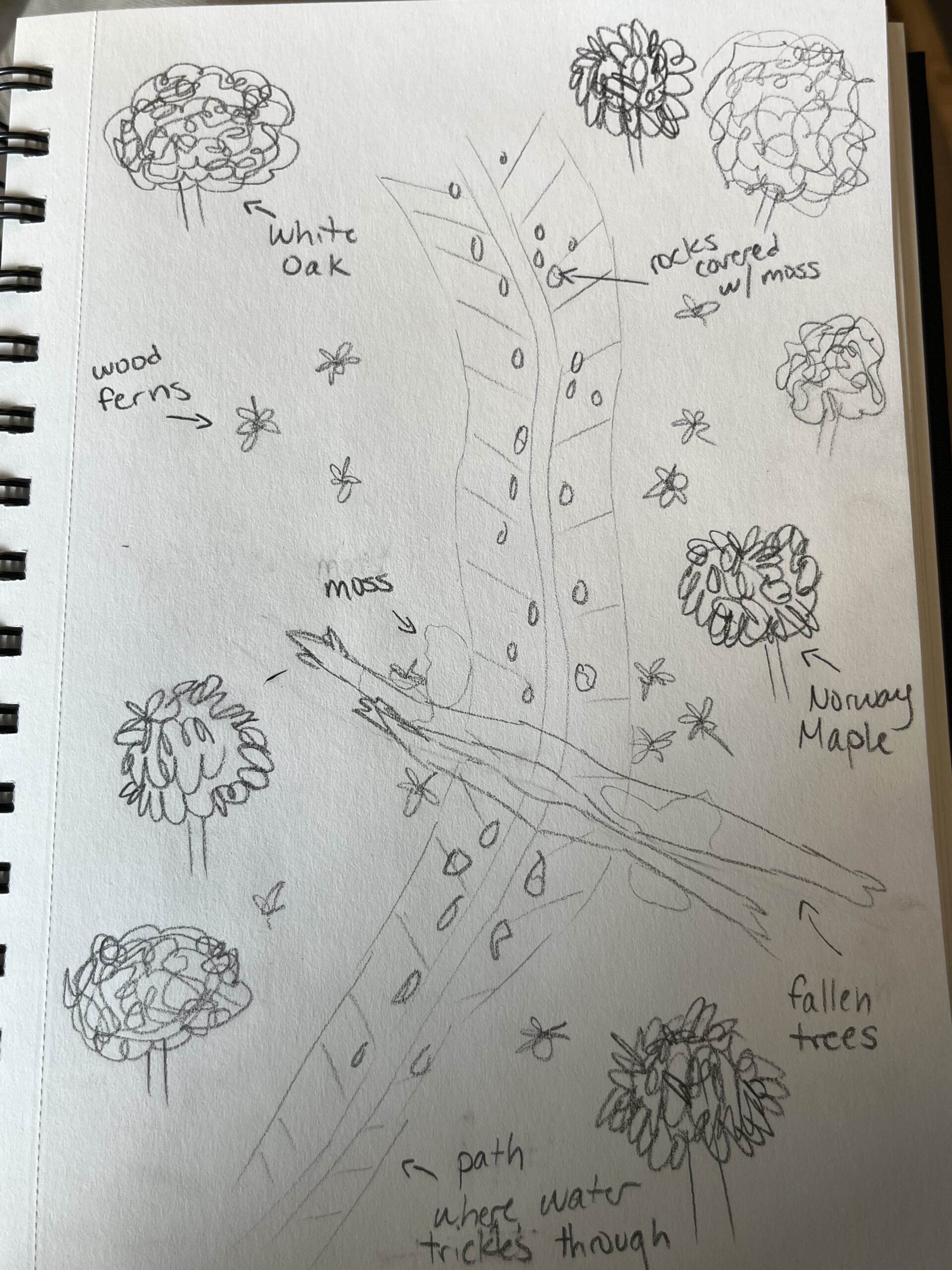 Map of My Spot – Phenolgy Blog
