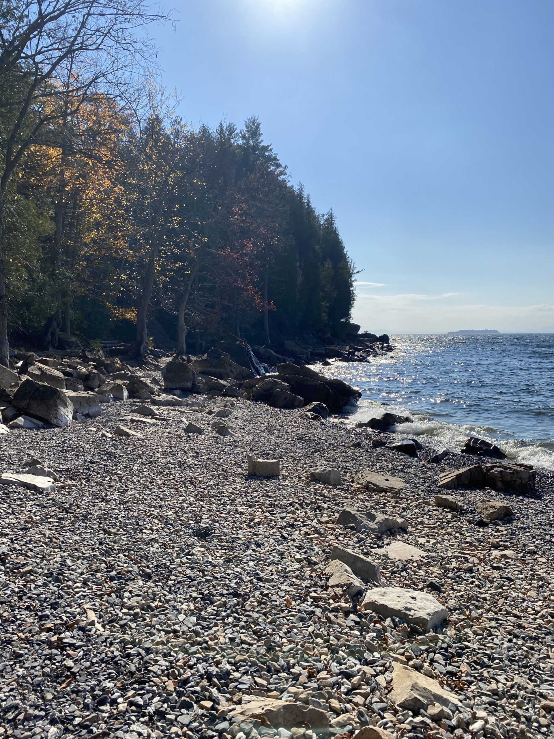 Exploration of Rock Point- October 25th, 2020 | Rock Point Phenology