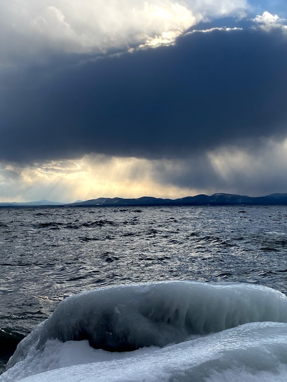 Exploration of Rock Point- February 7th, 2021 | Rock Point Phenology
