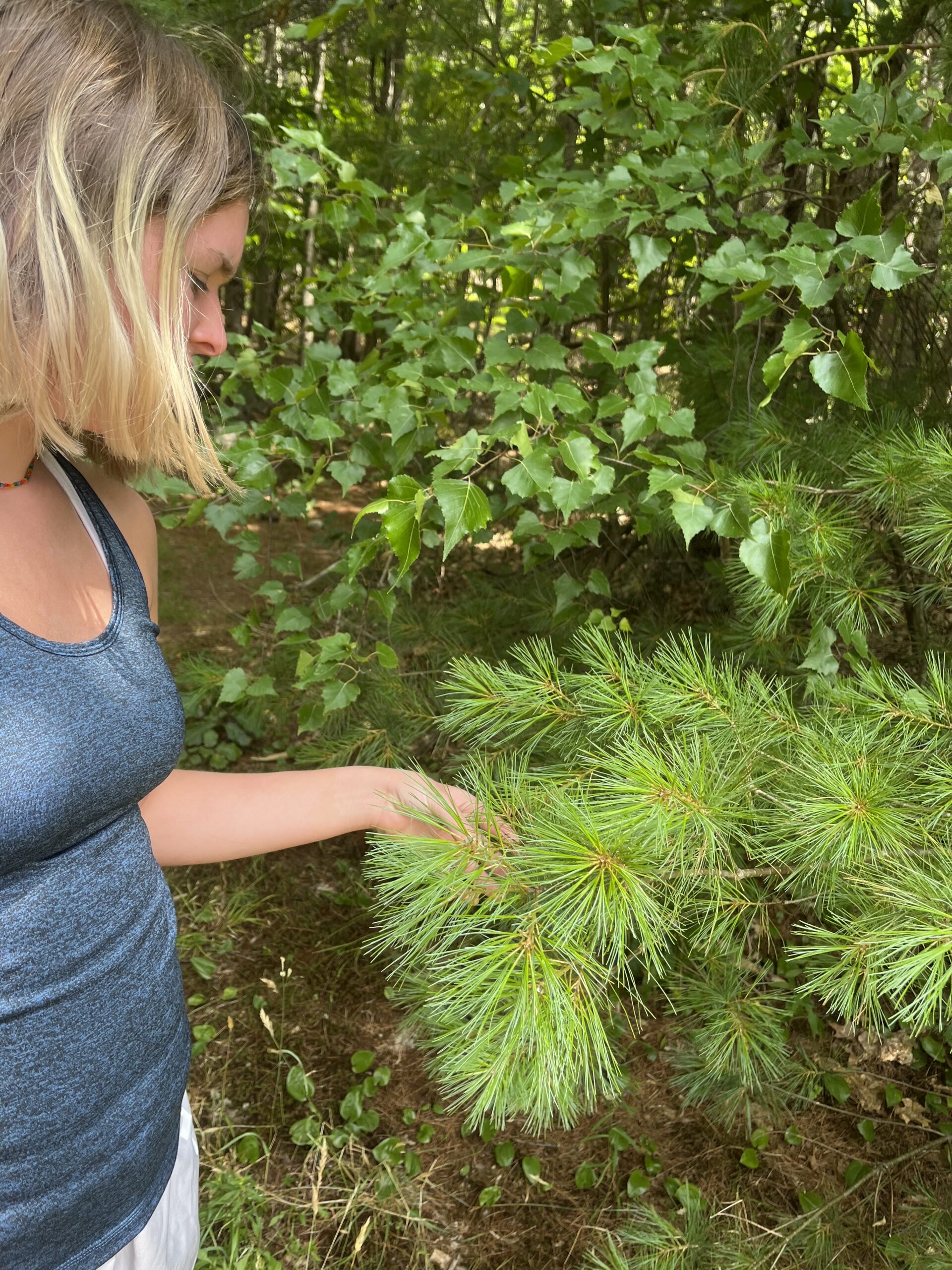 Wonder Blog – A UVM blog