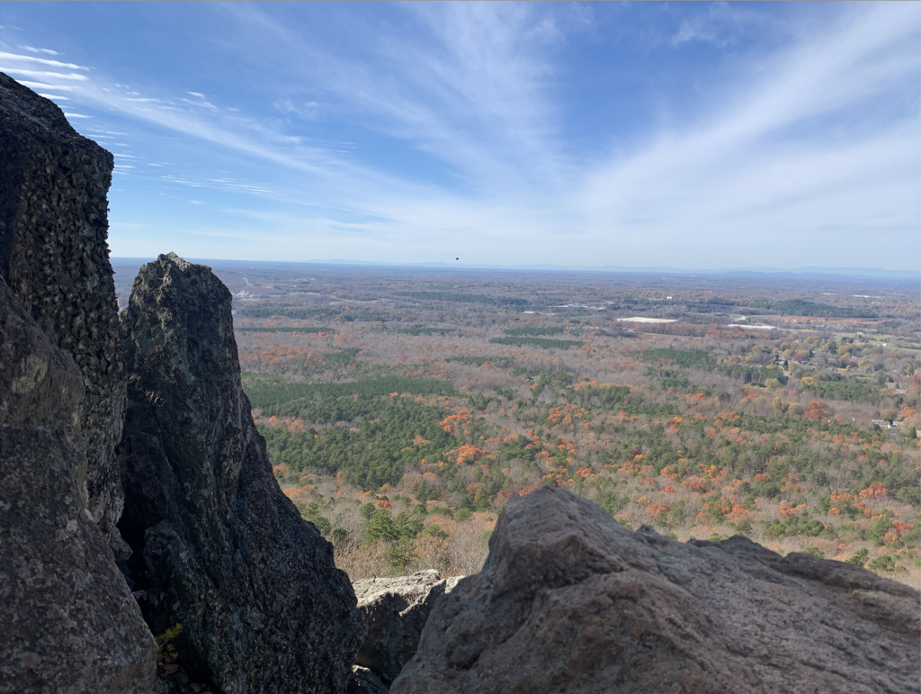 Centennial Woods, Burlington, Vt – Elizabeth Hutchins Phenology